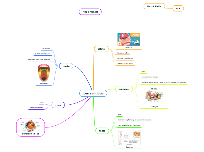 Los Sentidos - Mind Map